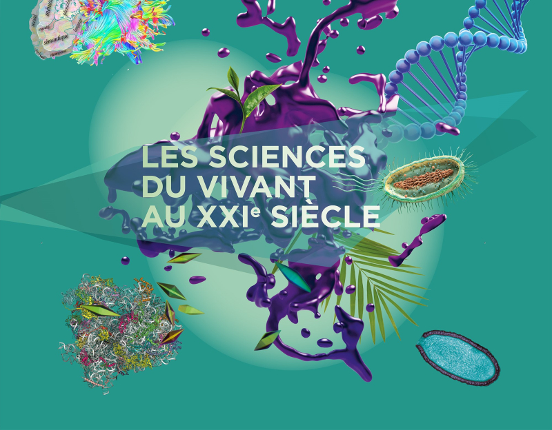 Les sciences du vivant au XXIe siècle | INSB